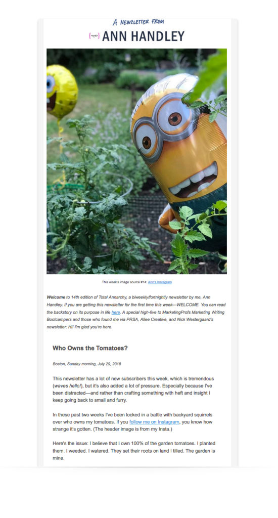 Why World-Class Writer Ann Handley Completely Revamped Her Newsletter ...