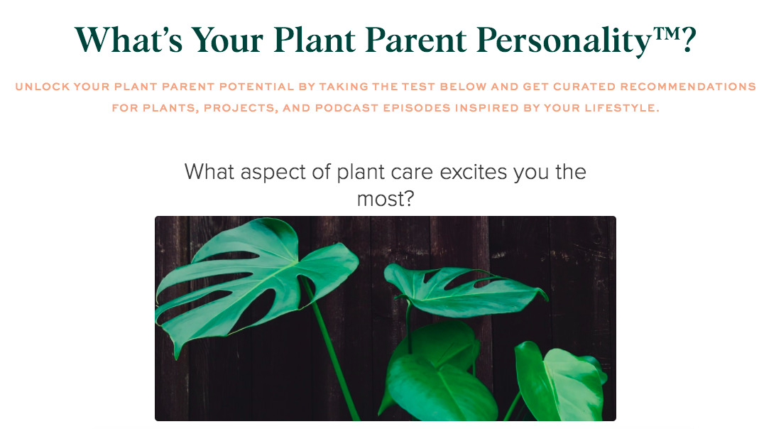 Start the New Year Strong with an Email List-building Quiz | AWeber