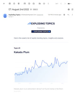 How Brian Dean grew his Exploding Topics newsletter to 65,000 ...