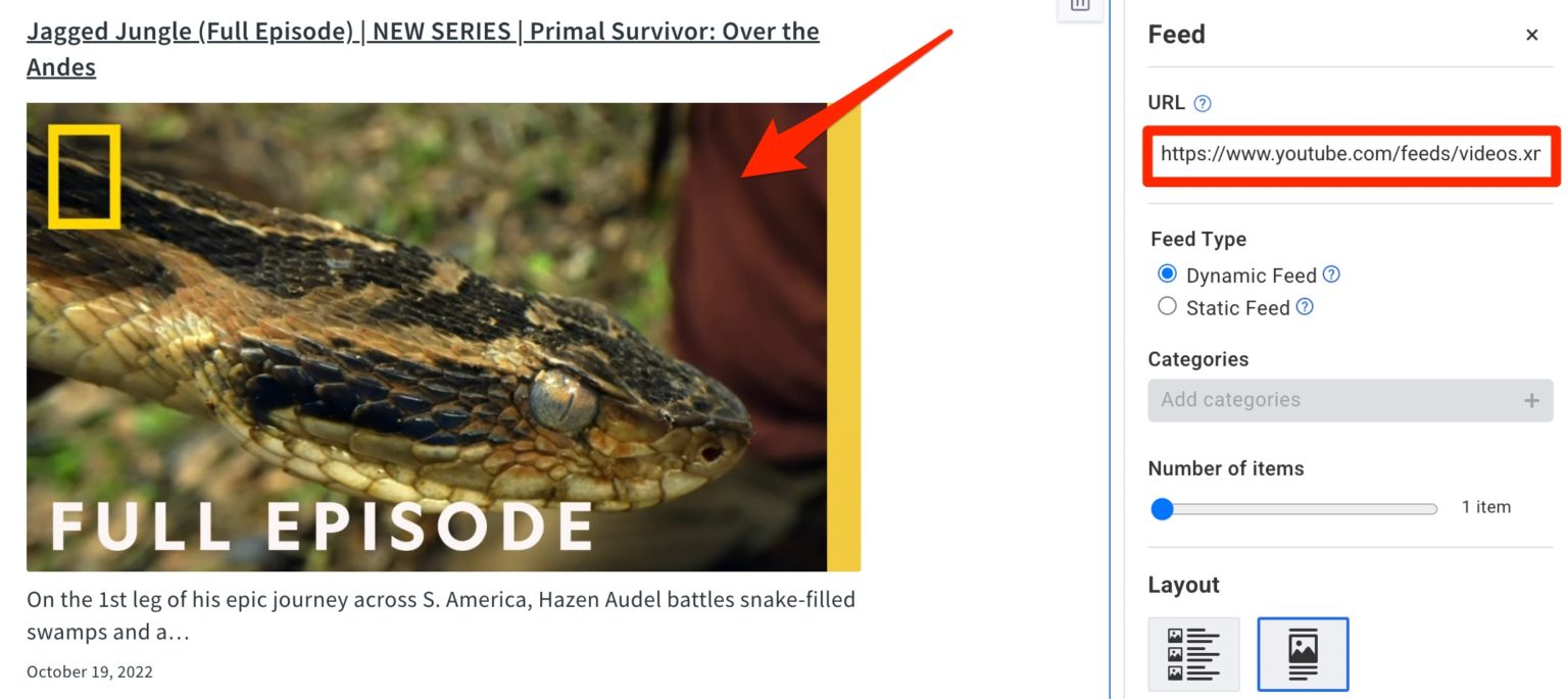 How to embed a YouTube video in an email (step-by-step guide) | AWeber
